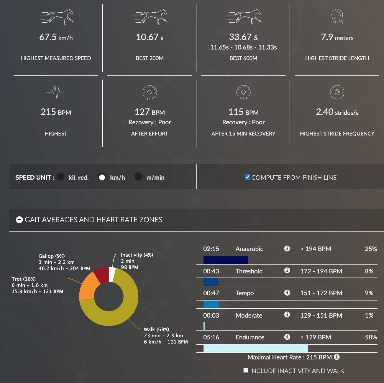 Maintaining maximal speed: the key to victory in horse racing?