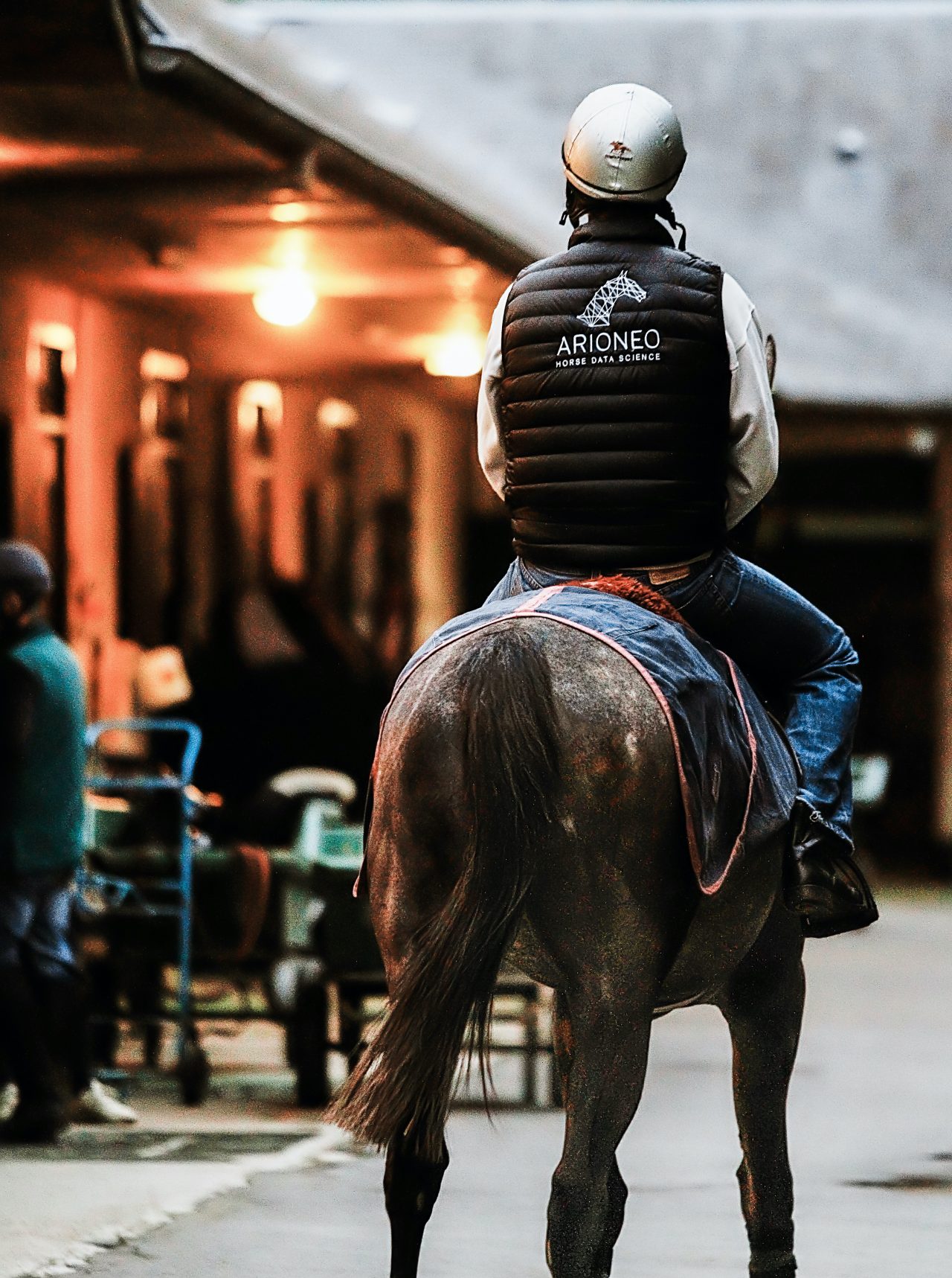 Contact the Arioneo Team | Heart rate monitor for racehorses
