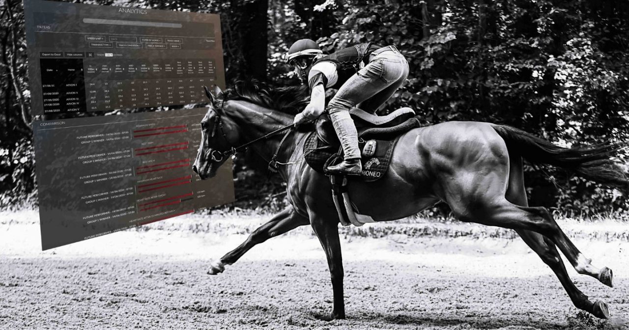 Arioneo | Equine technology - Health & Performance monitoring ...