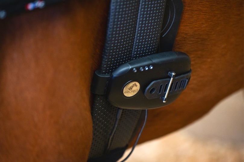 Racehorse heart rate monitor | Equimetre Flat & Harness - Arioneo