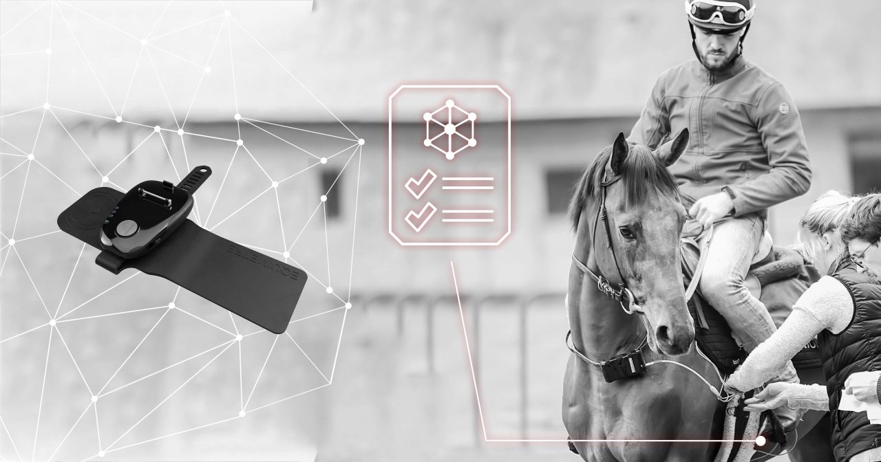 Arioneo | Equine technology - Health & Performance monitoring ...