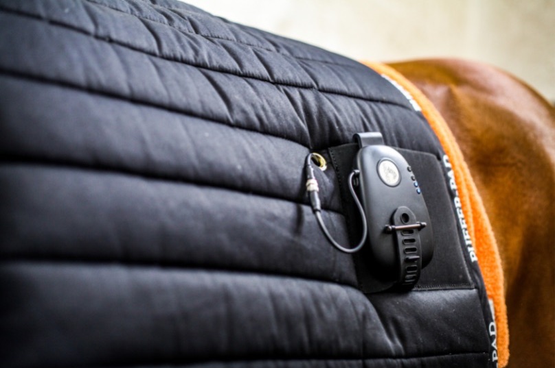 Racehorse heart rate monitor | Equimetre Flat & Harness - Arioneo