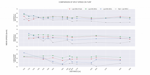 Horse racing speed analysis: what should you analyse?