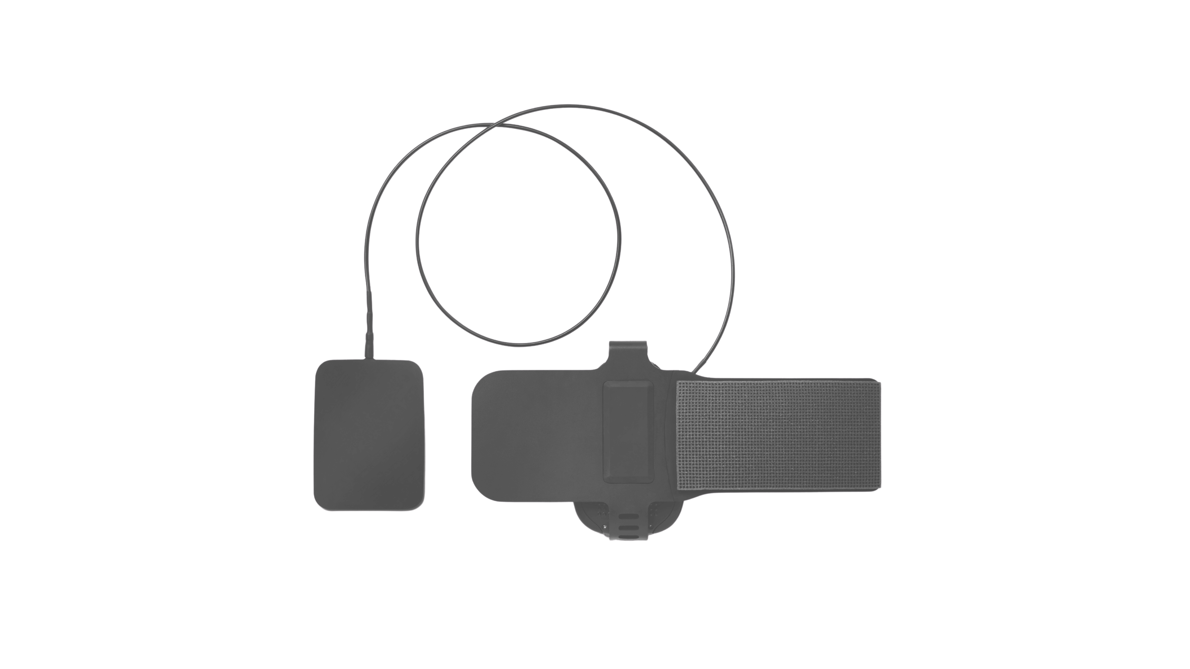 Racehorse's heart rate: everything there is to know - Training solutions