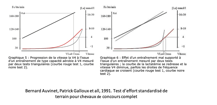 Standardised test of effort in horses - Training solutions