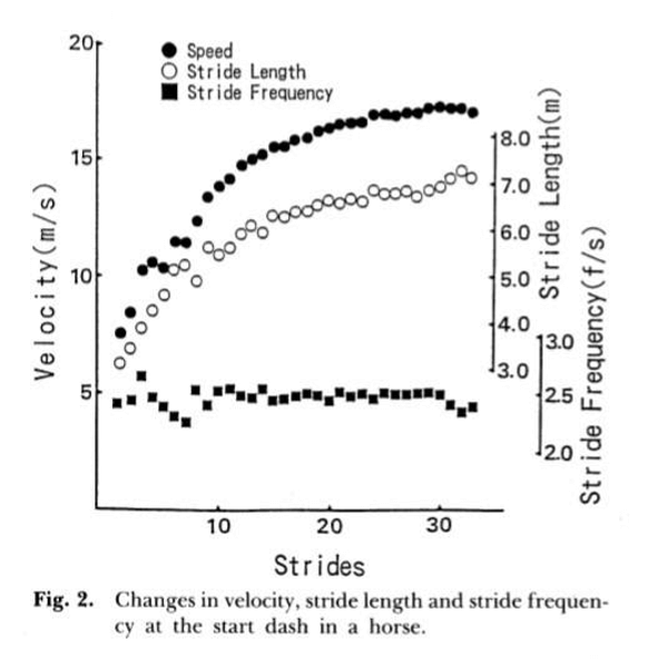 Racehorse's speed aptitudes: how to assess them?