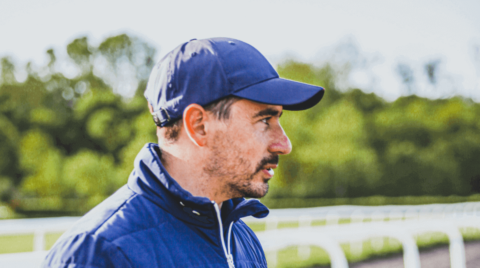 Arioneo | Equine technology - Health & Performance monitoring ...