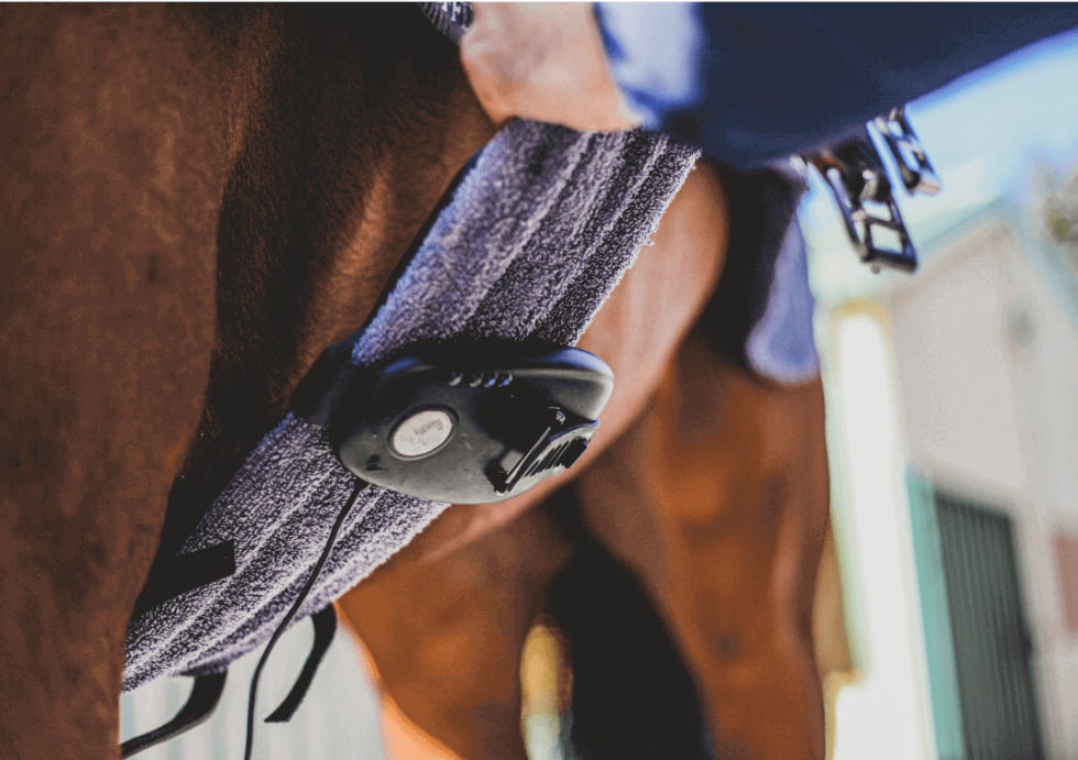 Arioneo | Equine technology - Health & Performance monitoring ...