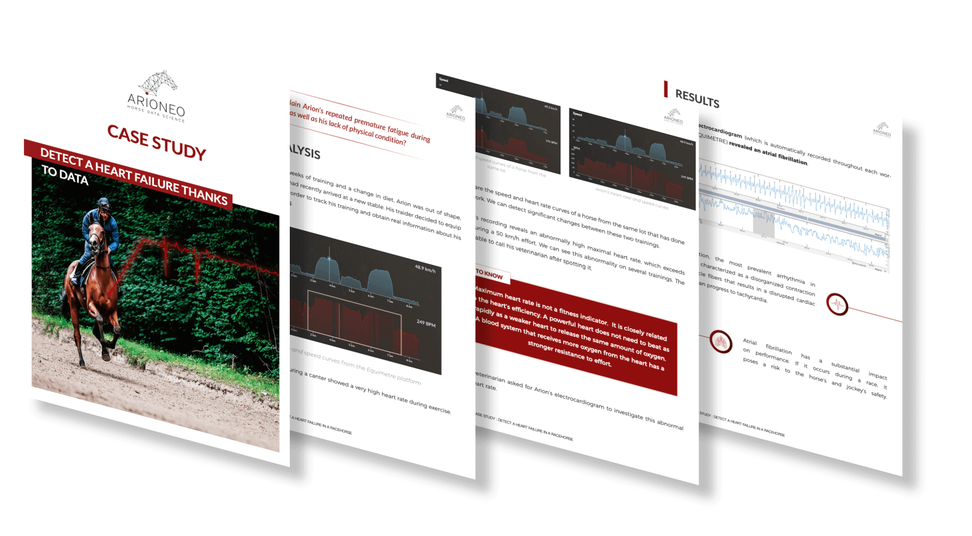 Detect a horse's heart failure thanks to data - Case study - Training ...