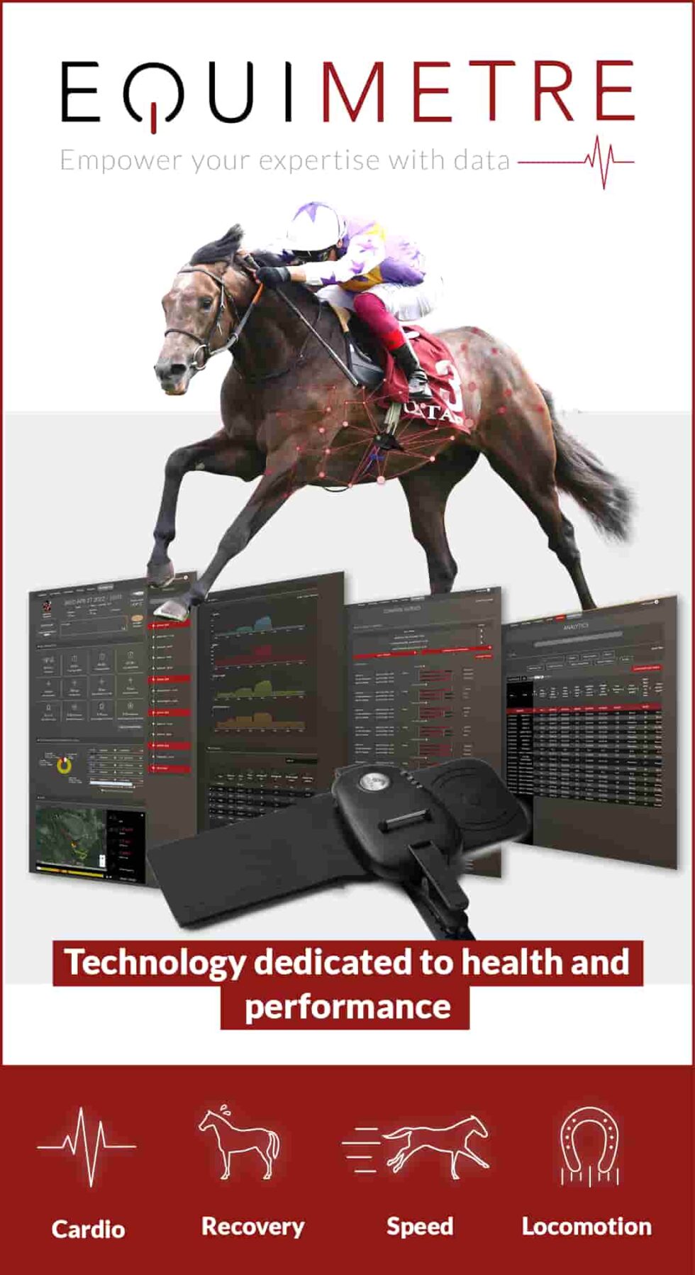 Contact the Arioneo Team | Heart rate monitor for racehorses