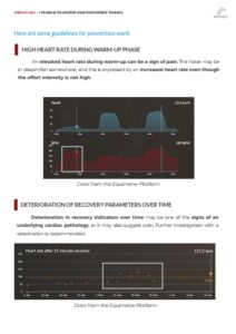 7 reasons to monitor your racehorses' training - Arioneo