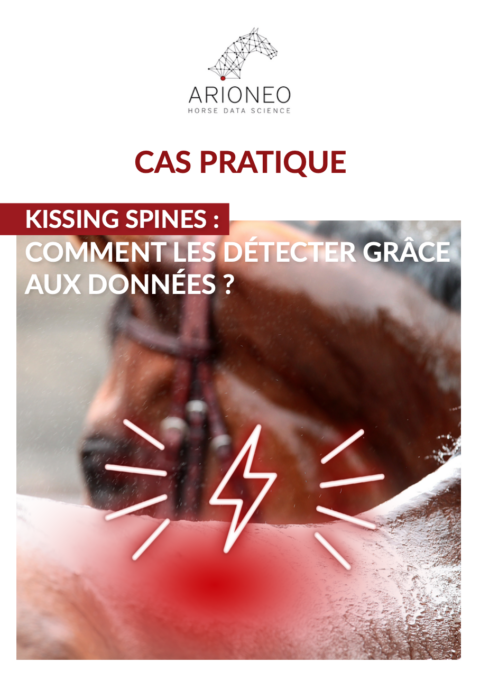 Kissing Spiness : comment les détecter ? - Training solutions