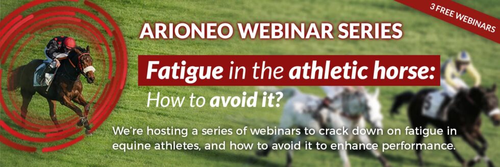 Arioneo | Equine technology - Health & Performance monitoring ...
