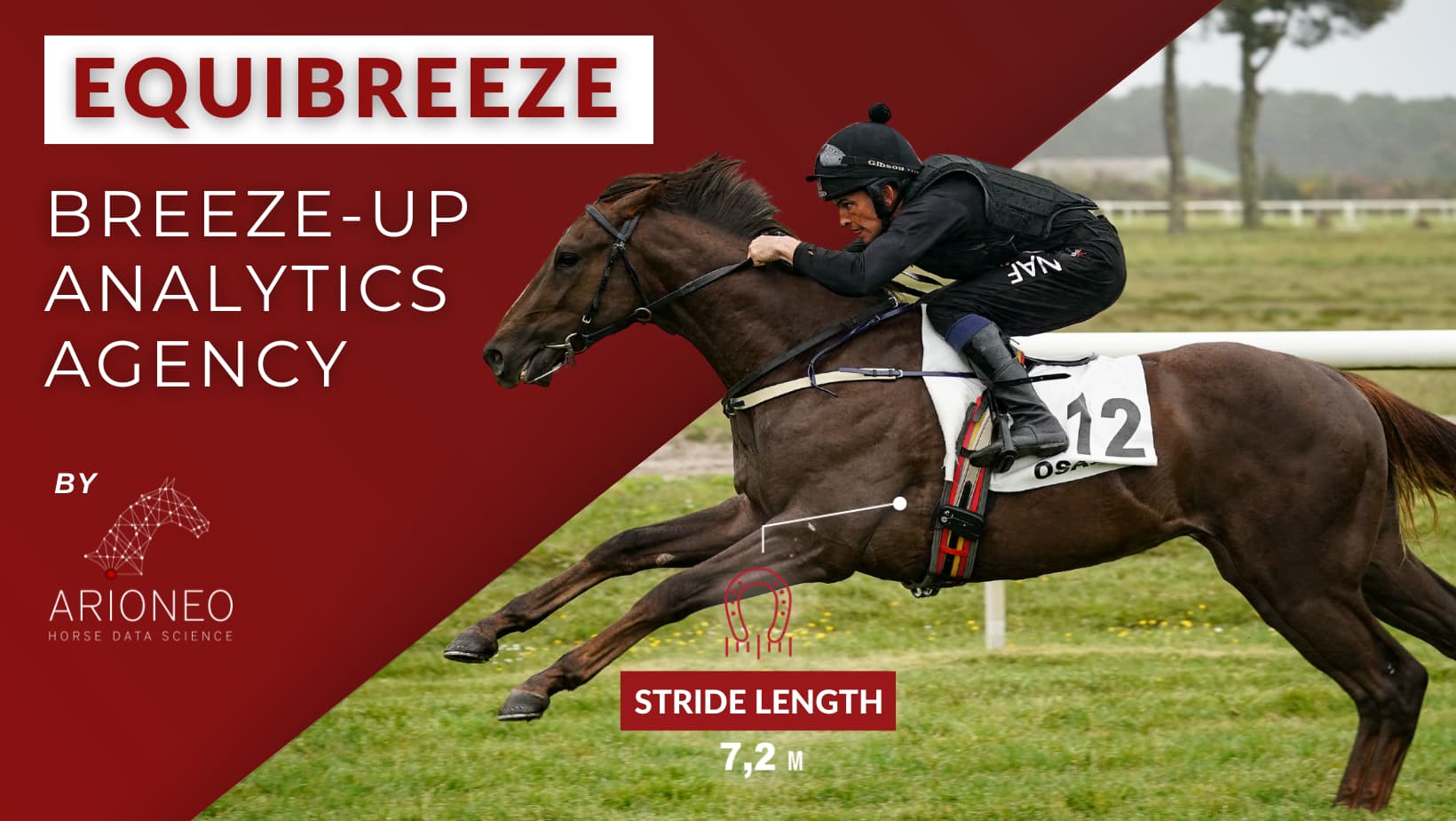 EQUIBREEZE - Breeze-up Analytics Agency