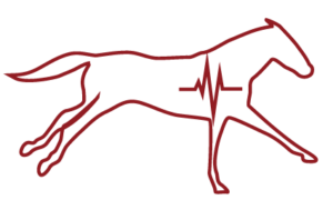 Capteur pour le cheval athlète : cardio, vitesse et locomotion