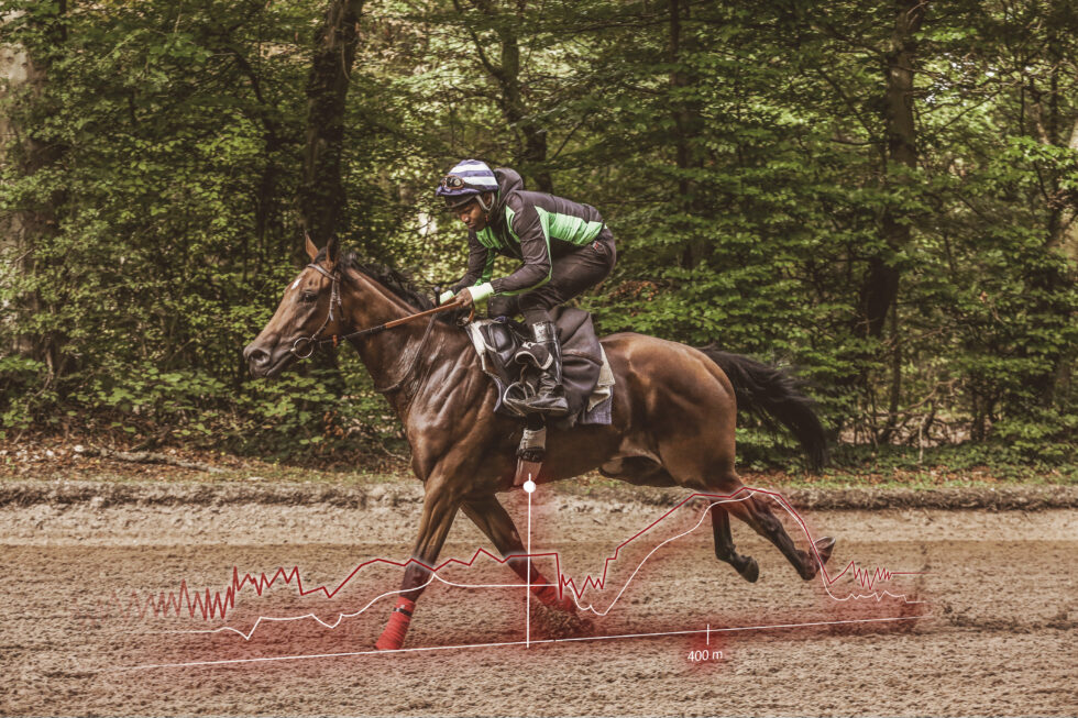 Racehorse heart rate monitor | Equimetre Flat & Harness - Arioneo