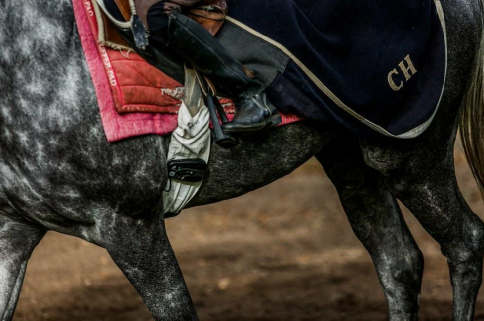 Christopher Head's EQUIMETRE experience