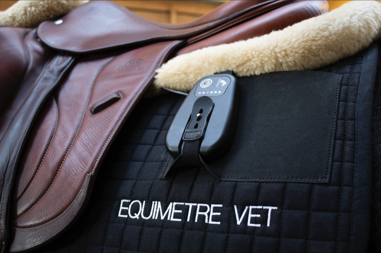 Racehorse heart rate monitor | Equimetre Flat & Harness - Arioneo