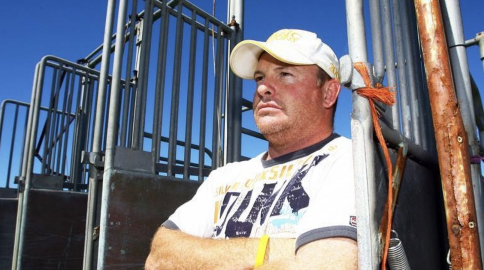 Equine Technology: Darryl Ward's EQUIMETRE experience